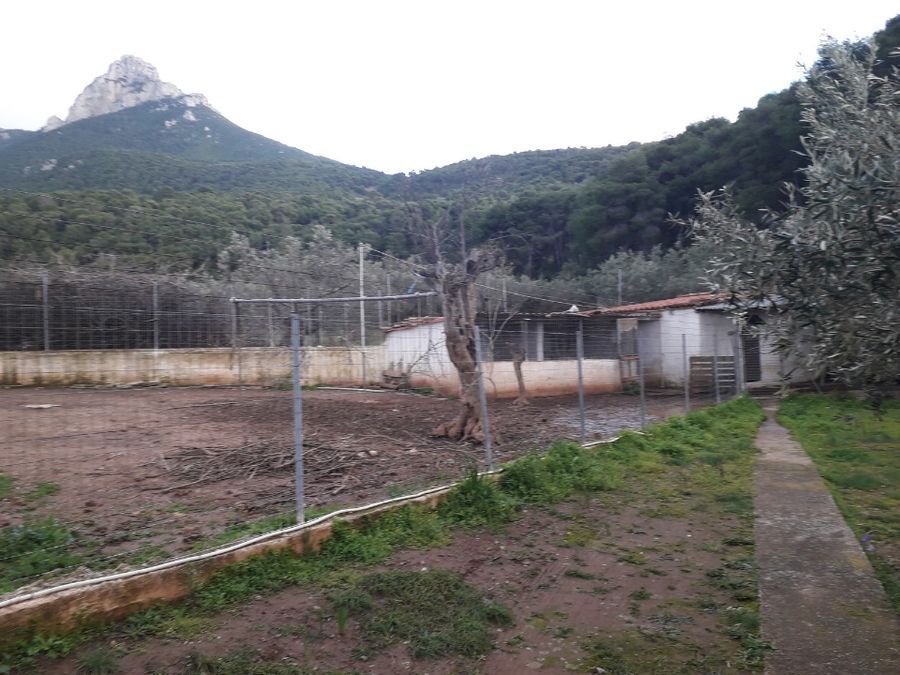 ΒΙΛΛΑ 275 ΤΜ ΣΕ ΟΙΚΟΠΕΔΟ 5800 ΤΜ ΣΤΗΝ ΠΕΡΙΟΧΗ ΠΕΡΑΧΩΡΑ ΛΟΥΤΡΑΚΙΟΥ