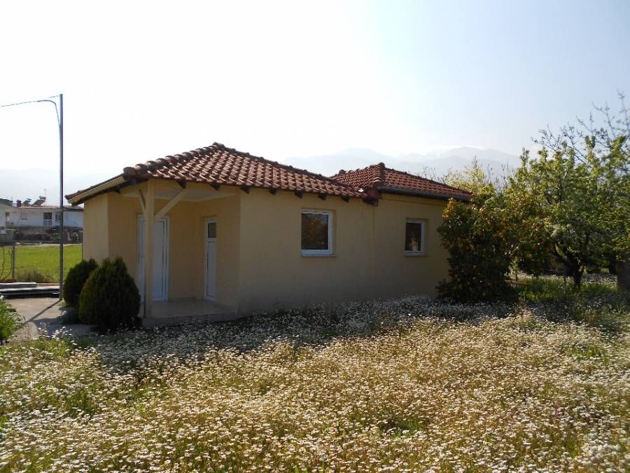 ΠΩΛΕΙΤΑΙ ΤΟ ΣΠΙΤΙ 60TM ΣΕ ΟΙΚΟΠΕΔΟ 100TM ΣΤΗΝ ΛΕΠΤΟΚΑΡΥΑ