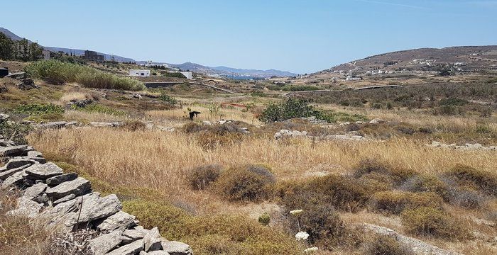 Αγροτεμάχιο προς πώληση Καμάρες (Πάρος) - Καμαρες | Αγροτεμαχιο με αδεια