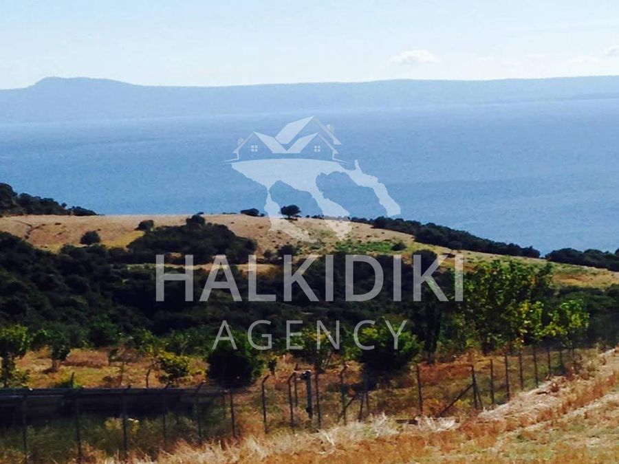 Αγροτεμάχιο προς πώληση Ιερισσός (Σταγείρων - Ακάνθου) - ΚΟΝΤΑ ΣΤΗ ΘΆΛΑΣΣΑ