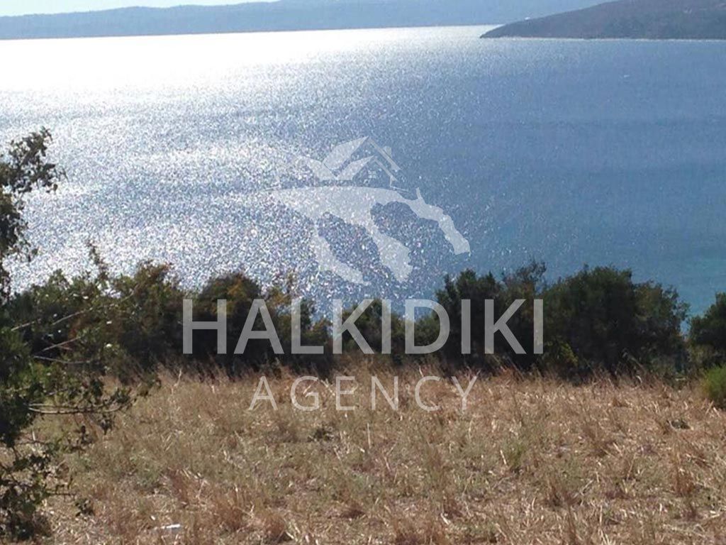 ΚΟΝΤΑ ΣΤΗ ΘΆΛΑΣΣΑ