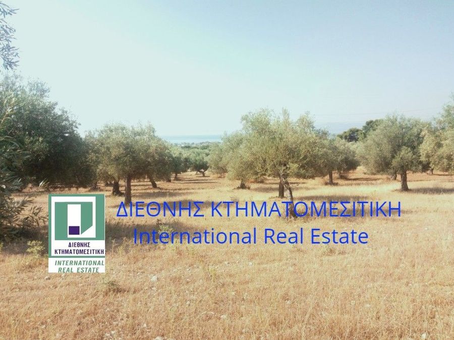 Πώληση, Αγροτεμάχιο, 6165τ.μ. Μέγαρα, Κινέτα | 8551925 | Spitogatos