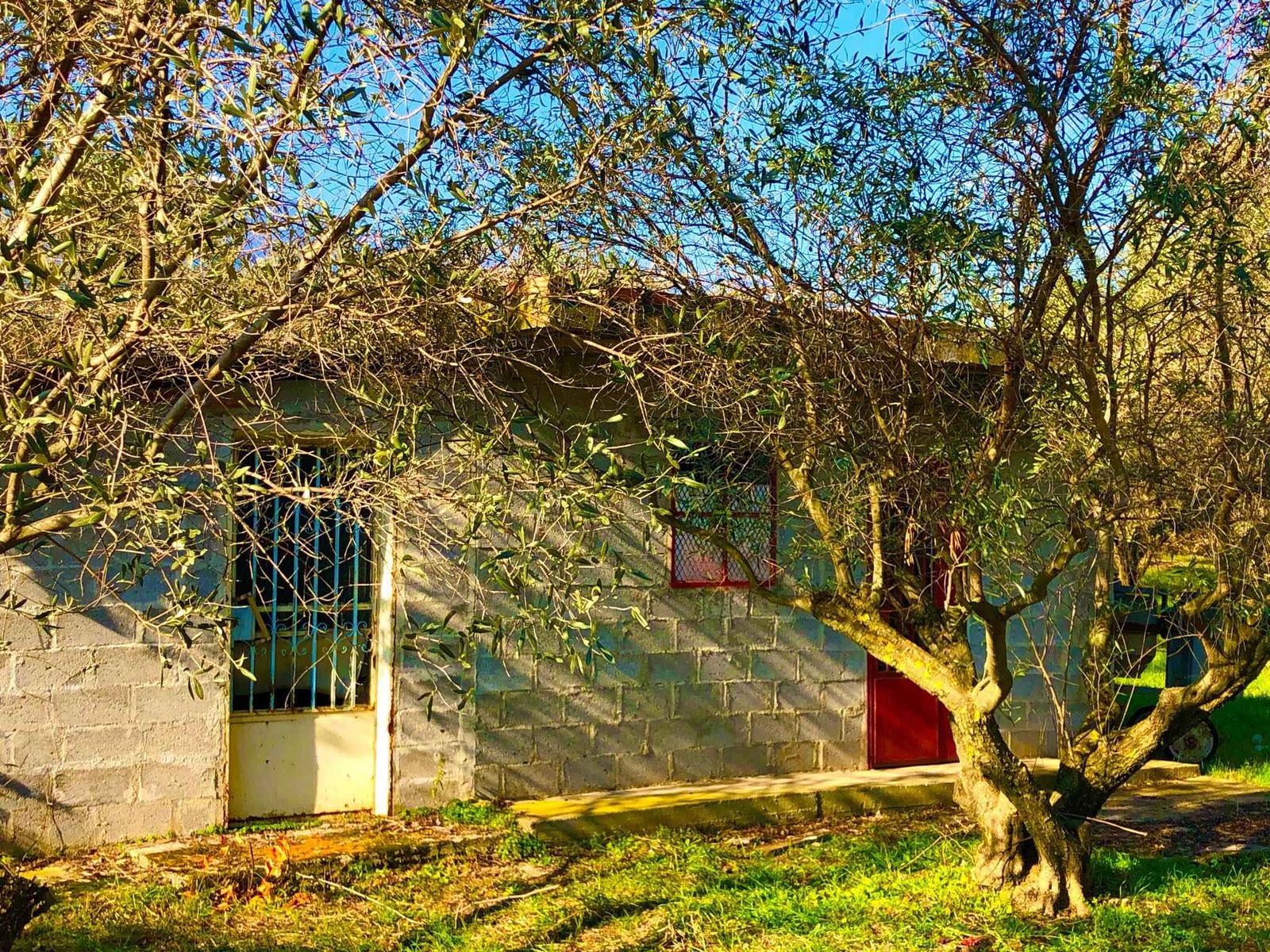ΜΟΝΟΚΑΤΟΙΚΙΑ ΗΜΙΤΕΛΗΣ ΜΕ 3.200ΤΜ ΟΙΚΟΠΕΔΟ