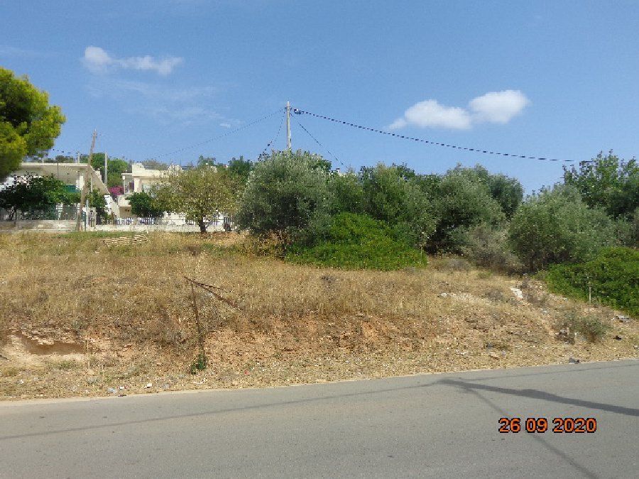 Αγροτεμάχιο προς πώληση Άγιος Ιωάννης (Αρτέμιδα (Λούτσα))