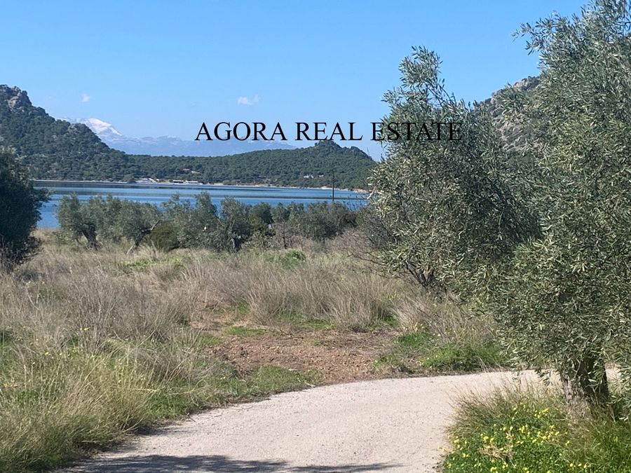 ΠΩΛΕΙΤΑΙ ΟΙΚΟΠΕΔΟ 4.000τμ ΣΤΗ ΛΙΜΝΗ ΒΟΥΛΙΑΓΜΕΝΗΣ