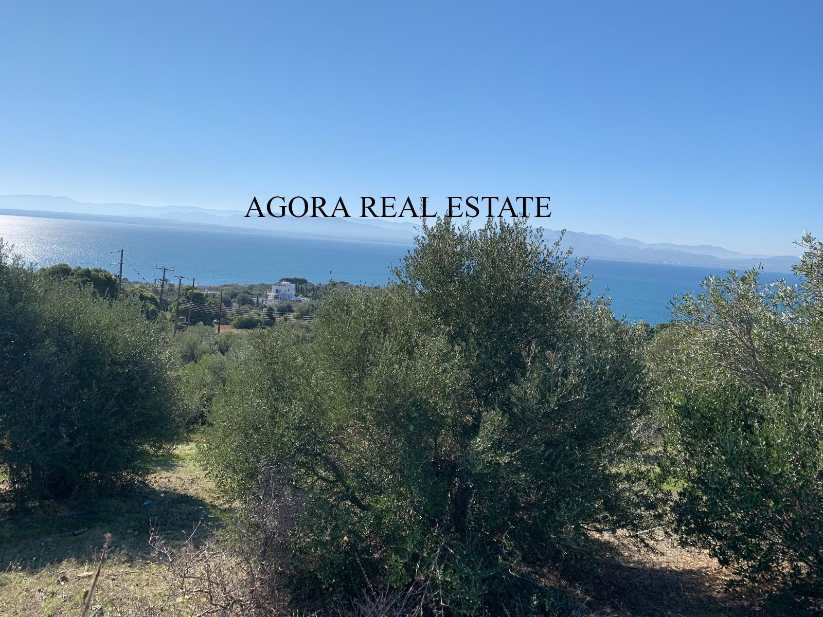 ΠΩΛΕΙΤΑΙ ΟΙΚΟΠΕΔΟ 8.000τμ ΣΤΗ ΛΙΜΝΗ ΒΟΥΛΙΑΓΜΕΝΗΣ ,ΧΤΙΖΕΙ 600τμ