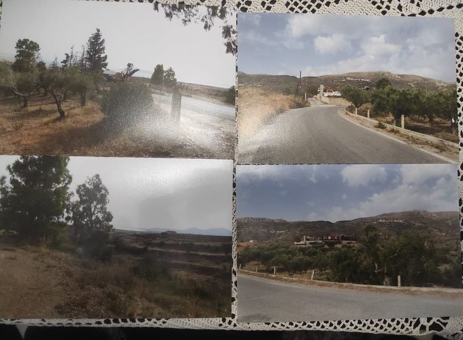 Sale, Parcel, 7000m² Voion, Neapoli Voion | 10836783 | Spitogatos