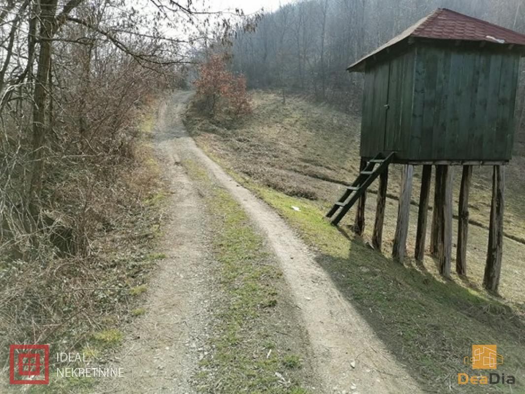 Land plot for sale, 19008sqm, 12,000€ - Trudelj | Indomio.rs