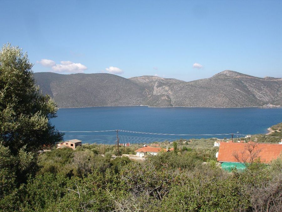 Πωλήσεις οικοπέδων στην περιοχή Εύβοια - ΜΕΣΙΤΙΚΟ ΓΡΑΦΕΙΟ ΠΑΠΑΔΑΚΗ ΜΑΡΙΑ