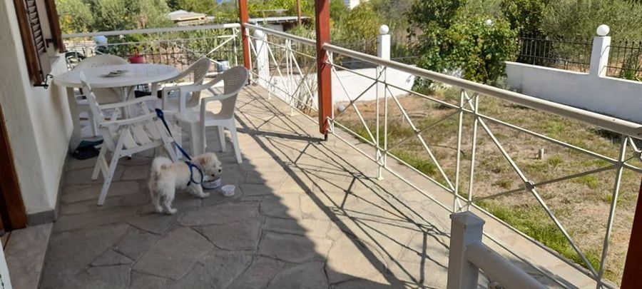 Νεοι Επιβατες