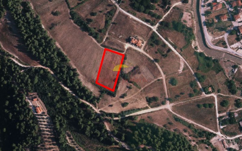 ΟΙΚΟΠΕΔΟ 3.539ΤΜ ΣΤΟ ΚΑΣΣΑΝΔΡΙΝΟ, ΣΤΗΝ ΚΑΣΣΑΝΔΡΑ ΧΑΛΚΙΔΙΚΗΣ