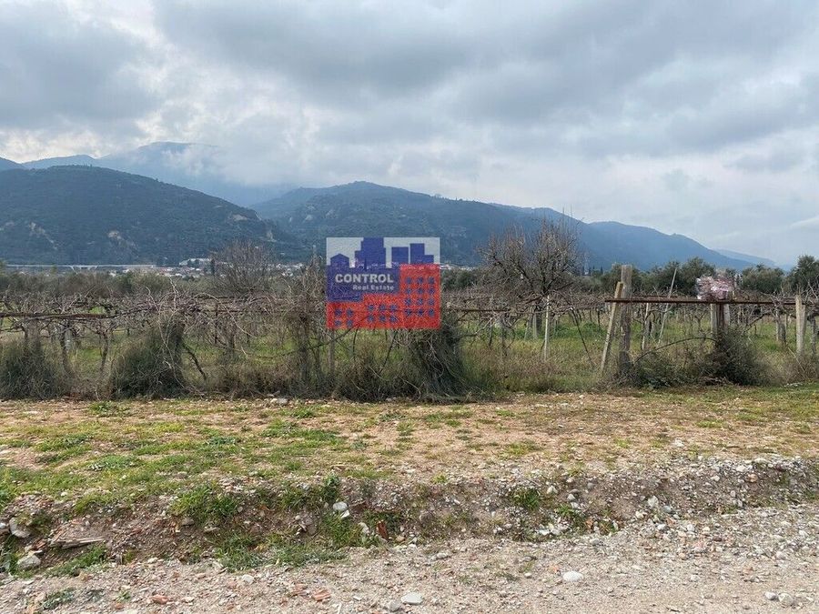 Αγροτεμάχιο προς πώληση Ριζόμυλος (Διακοπτό)