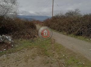 Μεσιτικό Γραφείο ΑΚΙΝΗΤΑ ΗΜΑΘΙΑΣ, Βέροια