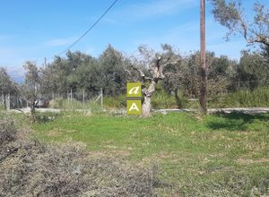 Πώληση, Οικόπεδο, 550τ.μ. Ρίο, Αραχωβίτικα | 11830150 | Spitogatos