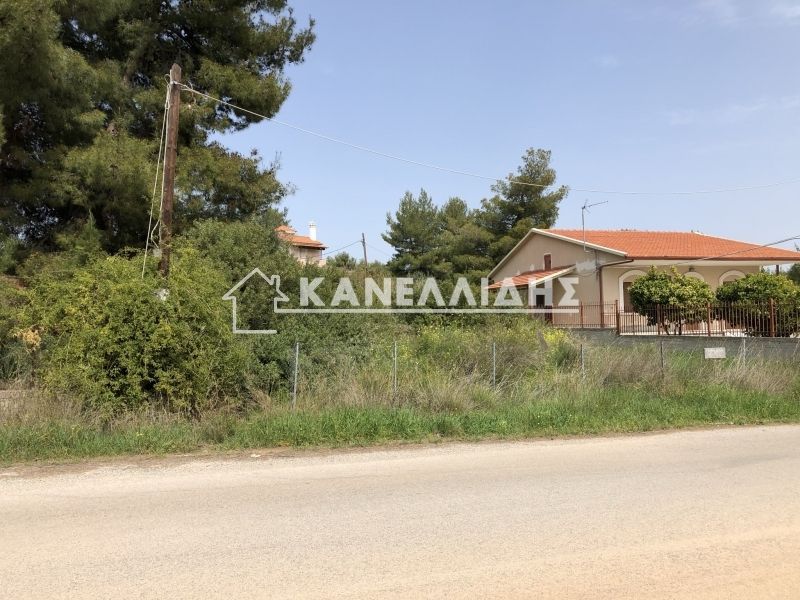 Πώληση, Αγροτεμάχιο, 450τ.μ. Ωρωπός, Χαλκούτσι | 12489382 | Spitogatos