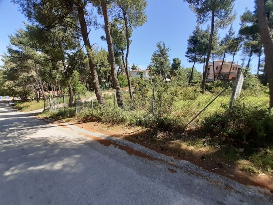 Οικόπεδο προς πώληση Δροσιά
