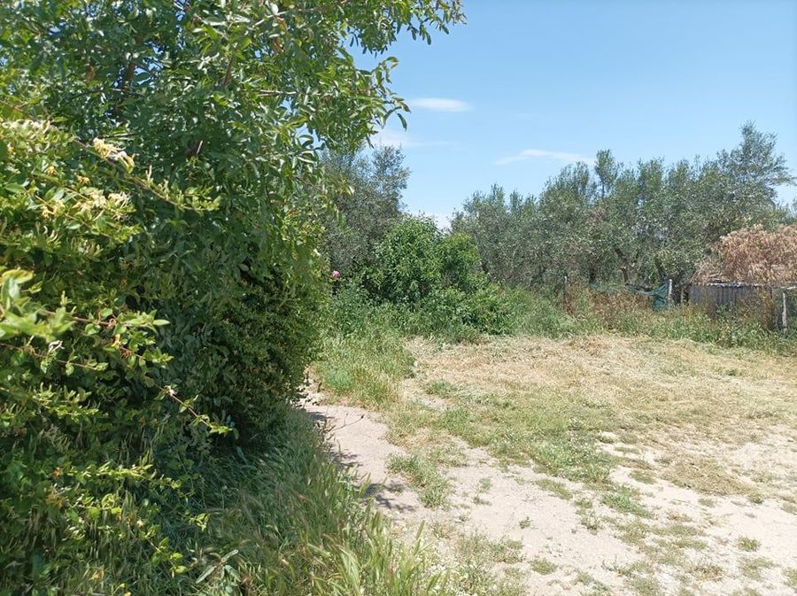 Αγροτεμαχιο Διαιρετο 120 μετρα λιγο εξω απο την Αγια Τριαδα