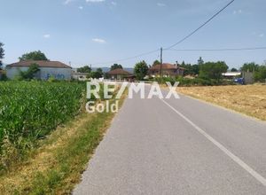 Πώληση, Αγροτεμάχιο, 3000τ.μ. Λαγκαδάς, Περιβολάκι | 12662016 | Spitogatos
