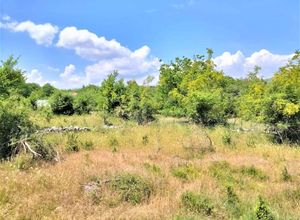 Πώληση, Οικόπεδο, 798τ.μ. Ορεινό, Μακρυχώρι | 12662372 | Spitogatos