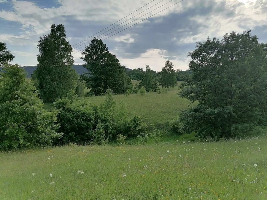 Farm parcel for sale, 3400sqm, 34,000€ - Divcibare | Indomio.rs