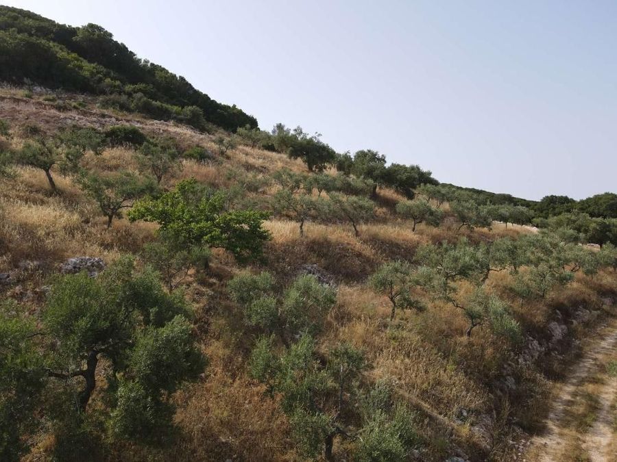 Land Plot for sale Volimes (Elatio)