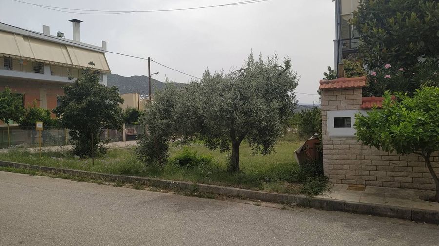 Πώληση, Οικόπεδο, 310τ.μ. Λαμία, Νέα Μαγνησία | 12758289 | Spitogatos