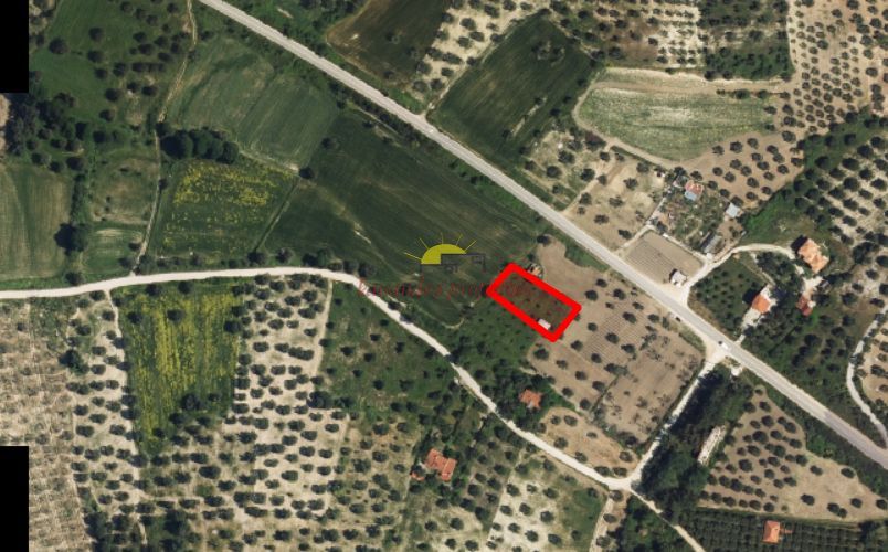 Αγροτεμάχιο προς πώληση Καλάνδρα (Κασσάνδρα) - ΑΓΡΟΤΕΜΑΧΙΟ ΠΡΟΣ ΠΩΛΗΣΗ ...
