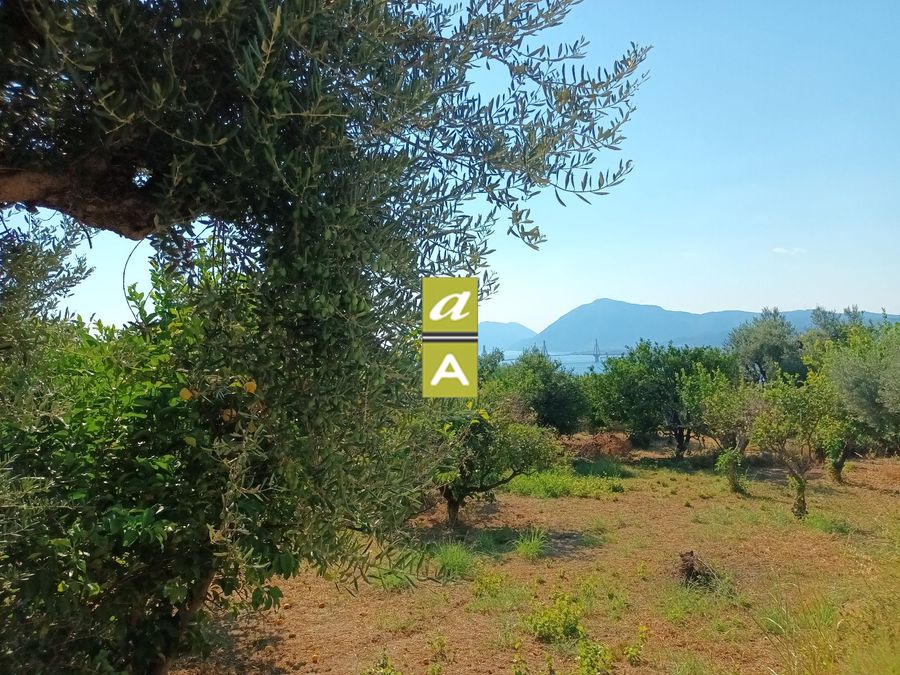 Οικόπεδο προς πώληση Πλατάνι (Ρίο) - ΠΩΛΗΣΗ ΟΙΚΟΠΕΔΟΥ, ΠΛΑΤΑΝΙ