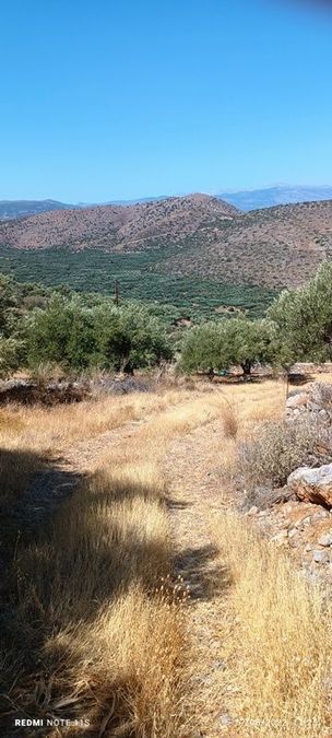 αγροτεμαχιο με καταπληκτικη θεα