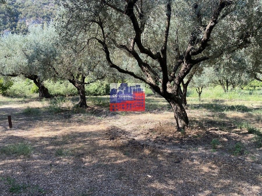 Πώληση, Αγροτεμάχιο, 500τ.μ. Διακοπτό, Ζαχλωρίτικα | 12993523 | Spitogatos