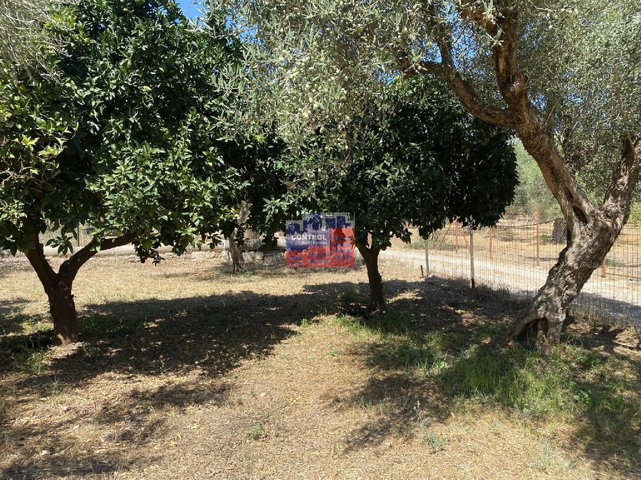 Αγροτεμάχιο προς πώληση Ελίκη (Διακοπτό)