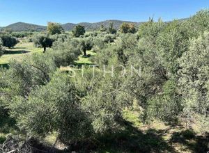 Sale, Parcel, 1126m² Toroni, Destenika | 13014557 | Spitogatos