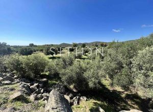 Sale, Parcel, 1126m² Toroni, Destenika | 13014557 | Spitogatos