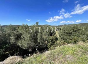 Sale, Parcel, 1126m² Toroni, Destenika | 13014557 | Spitogatos