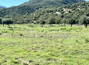 Πώληση, Αγροτεμάχιο, 2674τ.μ. Τορώνη, Παραλία Συκιάς | 13014568 ...
