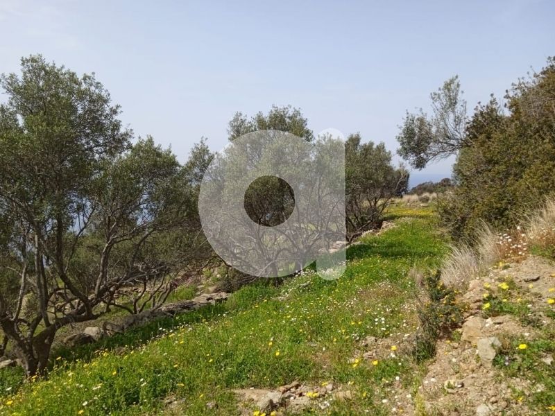 Πώληση, Αγροτεμάχιο, 17147τ.μ. Κύθηρα, Λογοθετιάνικα | 12359310 ...