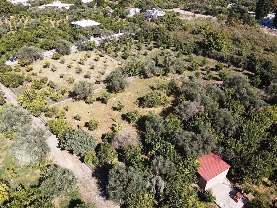 Πώληση, Οικόπεδο, 1000τ.μ. Αίγιο, Τέμενη | 13133610 | Spitogatos