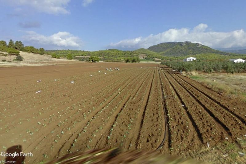 Πώληση, Αγροτεμάχιο, 3900τ.μ. Μεσσαπία, Ψαχνά | 13170127 | Spitogatos