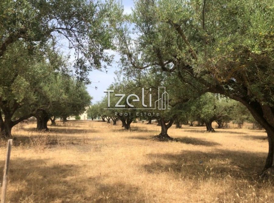Πώληση, Οικόπεδο, 2827τ.μ. Δυτικής Αχαΐας, Πετροχώρι | 13202676 ...