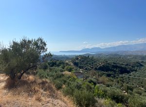 Πώληση, Αγροτεμάχιο, 5500τ.μ. Γύθειο, Βουτρούβη | 13234327 | Spitogatos