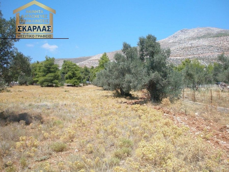 Πώληση, Αγροτεμάχιο, 4000τ.μ. Ερέτρια, Μαγούλα | 13086879 | Spitogatos