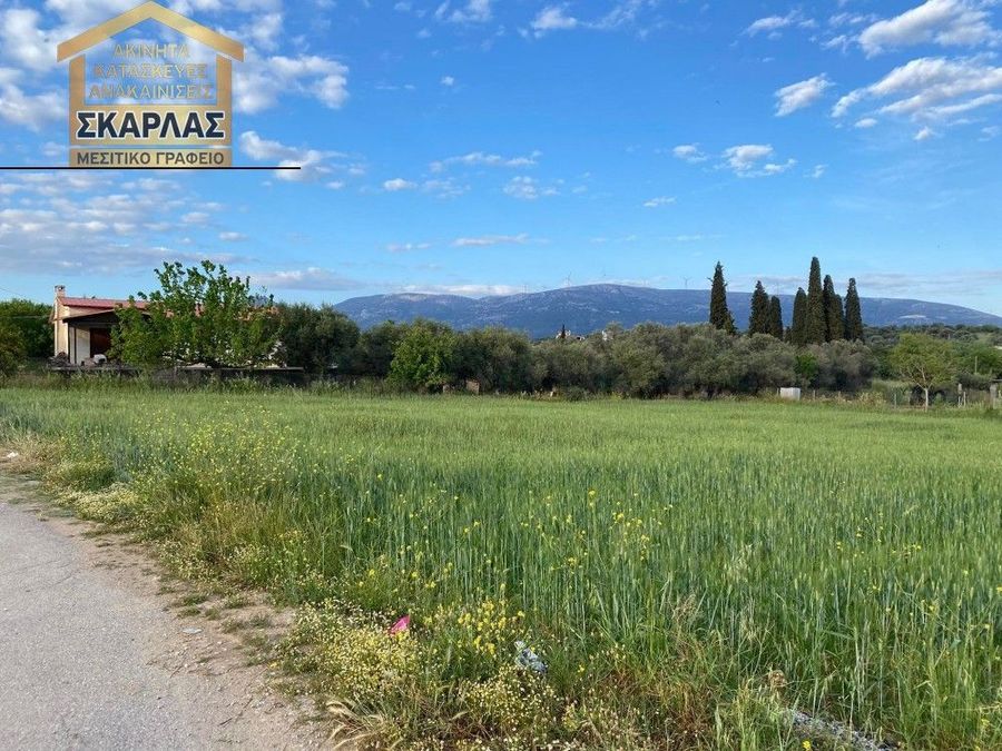 Πώληση, Αγροτεμάχιο, 1000τ.μ. Εύβοια, Αμάρυνθος | 12489794 | Spitogatos