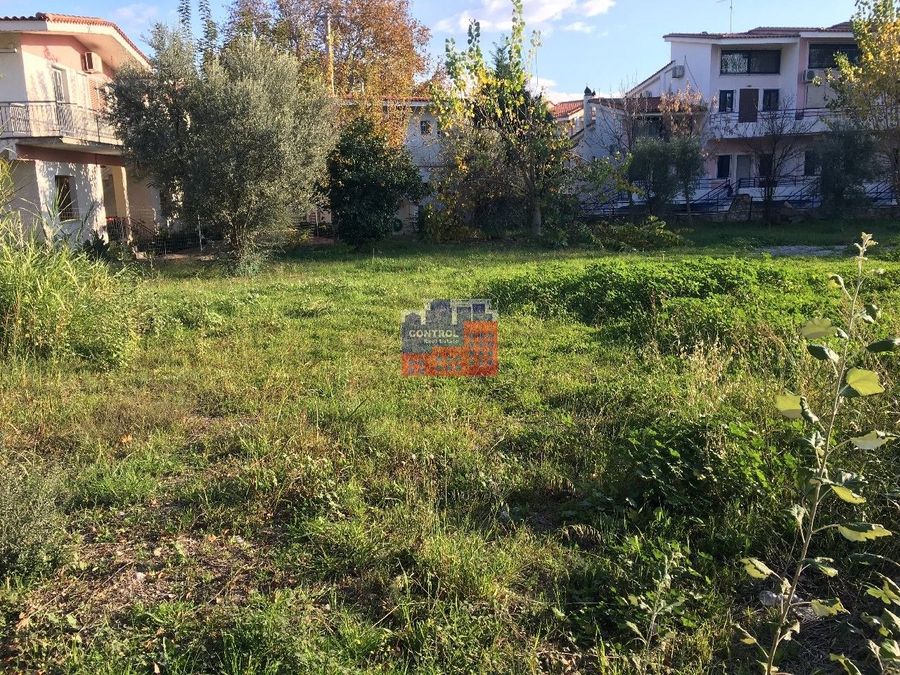 Οικόπεδο προς πώληση Λόγγος (Αιγιάλεια)