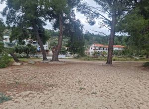 Sale, Parcel, 1325m² Sithonia, Elia | 13420301 | Spitogatos