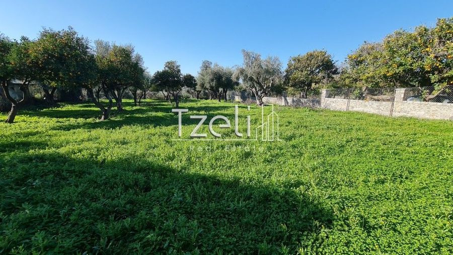 Πώληση, Οικόπεδο, 4100τ.μ. Πάτρα, Περιβόλα | 13448925 | Spitogatos