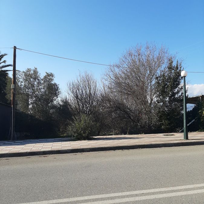 Αγροτεμάχιο προς πώληση Γιαννιτσά