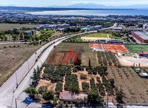 Ενοικίαση, Αγροτεμάχιο, 4008τ.μ. Πυλαία, Φοινίκας | 13228371 | Spitogatos