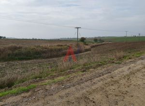 Sale, Plot, 20750m² Epanomi, Center | 13227684 | Spitogatos