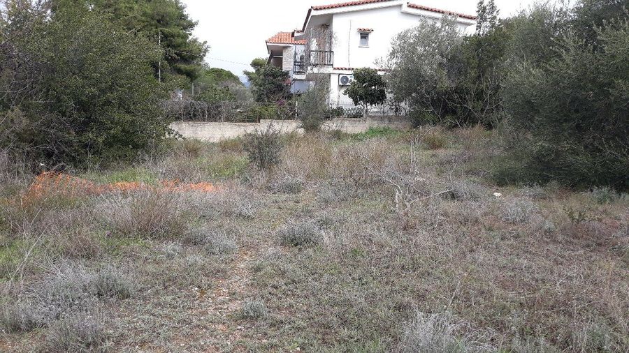 Πώληση, Αγροτεμάχιο, 1000τ.μ. Αθήνα - Ανατολικά Προάστια, Παιανία ...