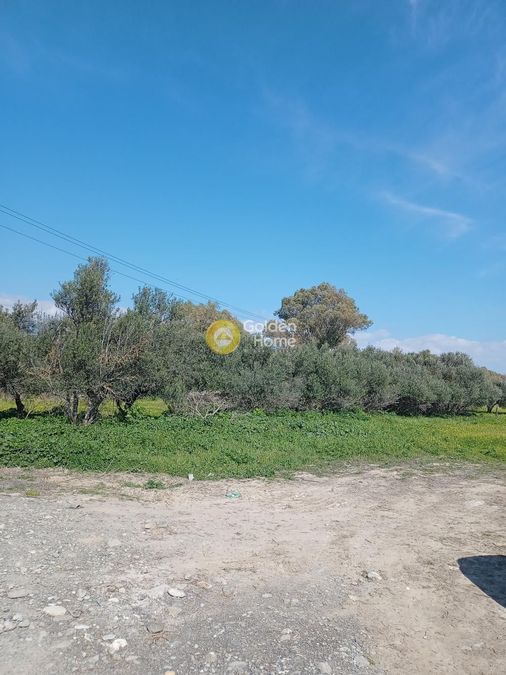 Πώληση, Αγροτεμάχιο, 1700τ.μ. Τυμπάκι, Κέντρο | 13908864 | Spitogatos